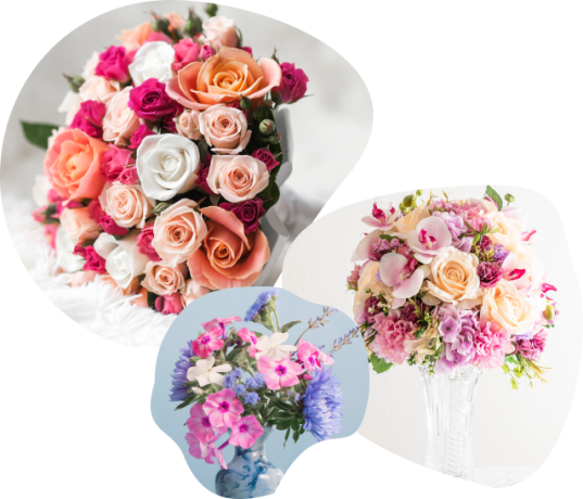 Monsieur Flower | Fleuriste à Toulouse avec livraison dans toute la France