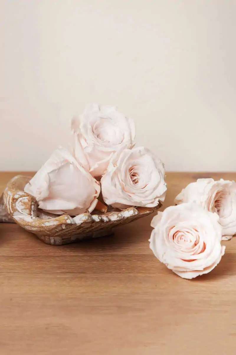 Fleurs séchées en vrac "Roses d'Aphrodite" | Monsieur Flower