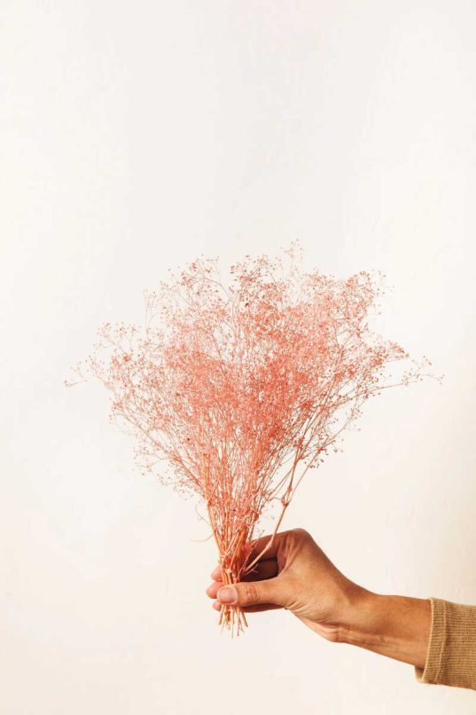 Fleurs séchées en vrac "Roses d'Apollon" | Monsieur Flower