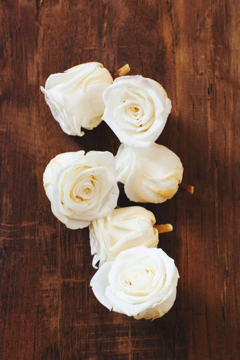 Fleurs séchées en vrac "Rose de Lancelot" | MF