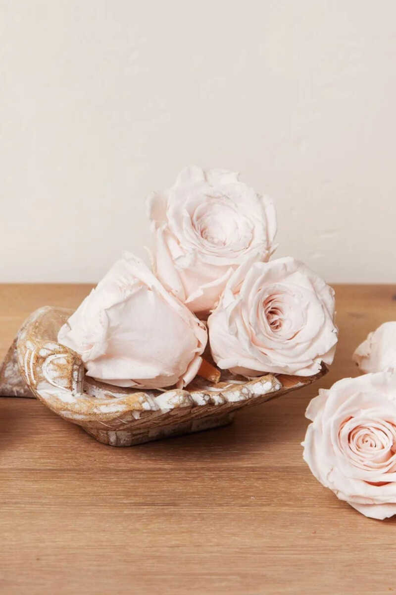 Fleurs séchées en vrac "Roses d'Aphrodite" | Monsieur Flower