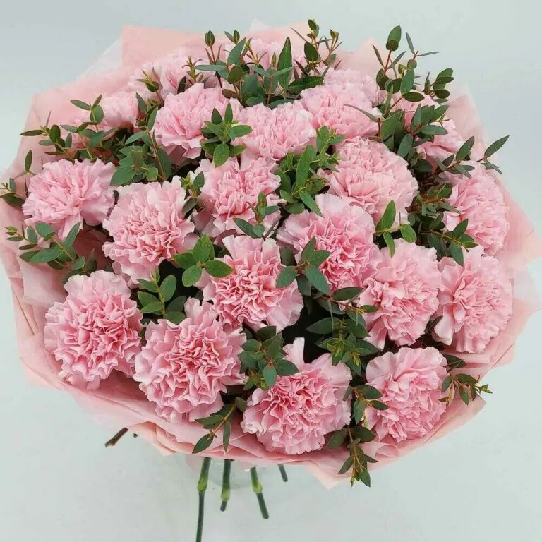 Bouquet "Scorpion" | Monsieur Flower